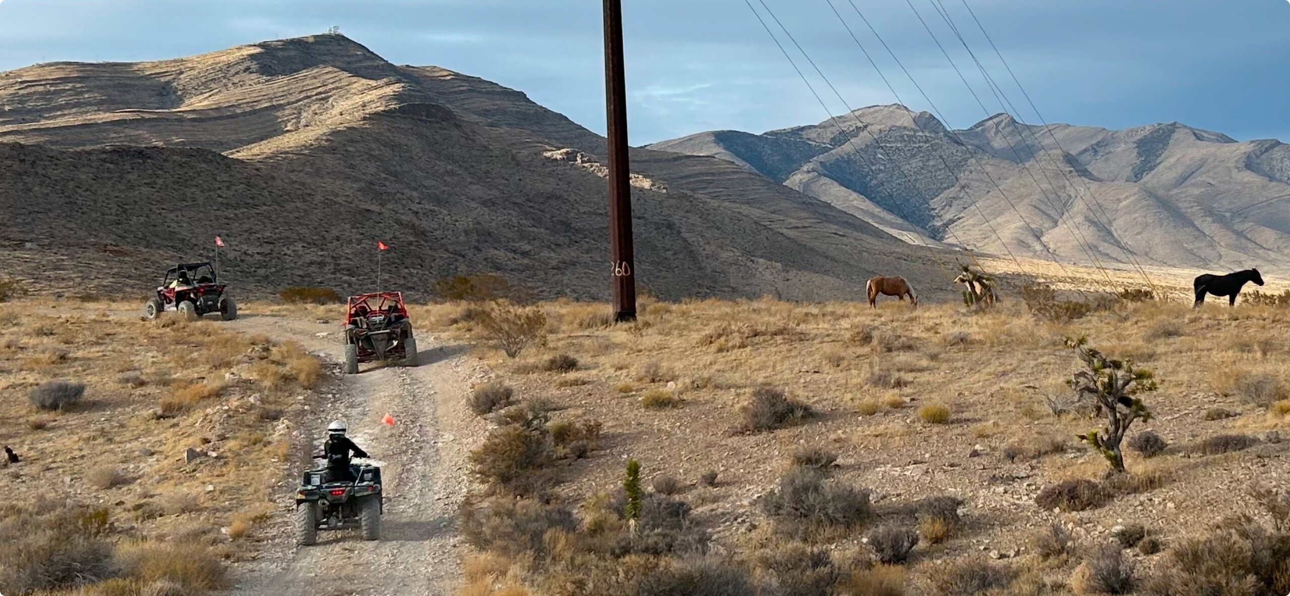 Wild Mustang 2-Hour ATV & SXS Tour
